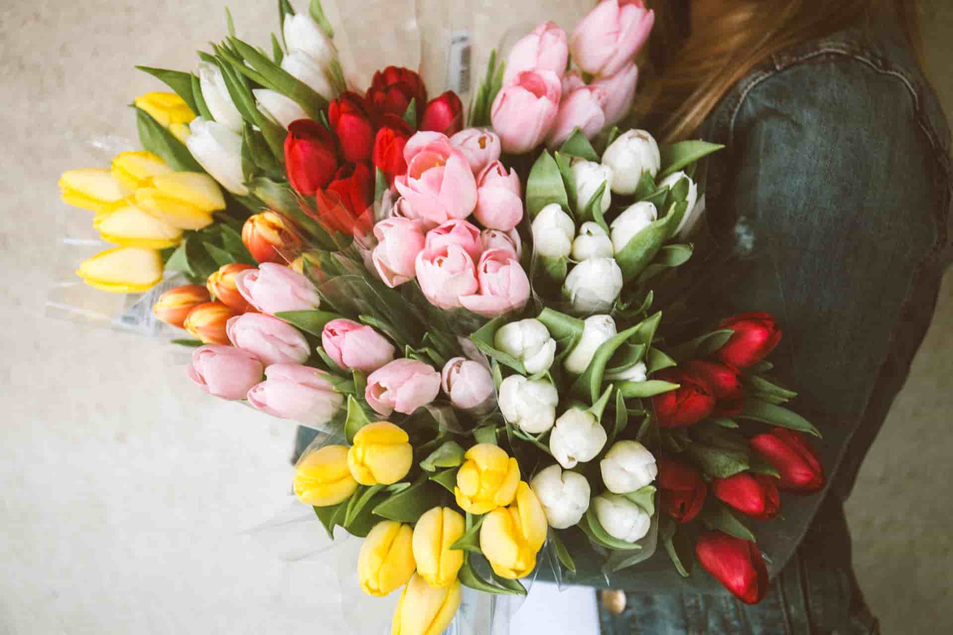 10 formas de decir te quiero con flores - 14febrero.es